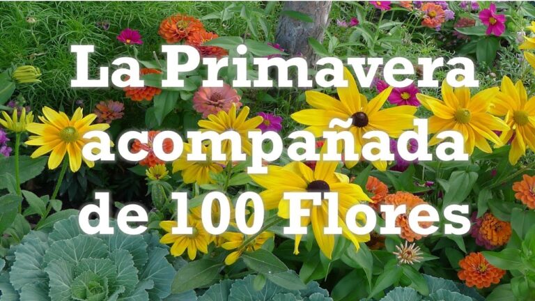 Descubre la belleza de la primavera con estas impresionantes imágenes ...