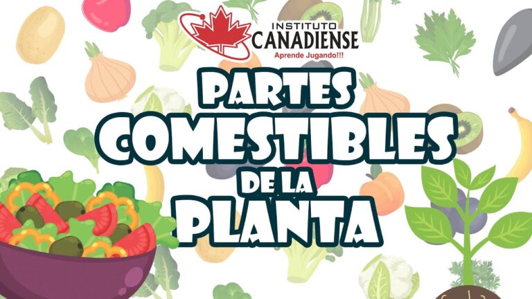 Descubre 10 plantas cuya raíz es comestible: ¡Añade variedad a tu dieta ...