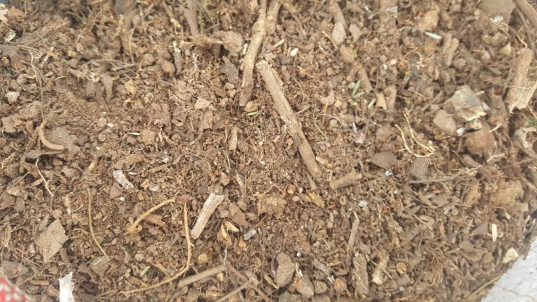 Todo lo que necesitas saber sobre el mantillo en jardinería: beneficios ...