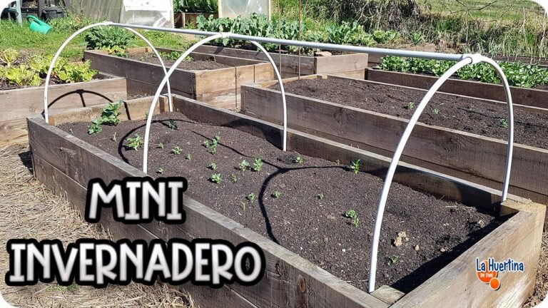 Guía paso a paso: Cómo hacer un invernadero de PVC de forma sencilla en ...